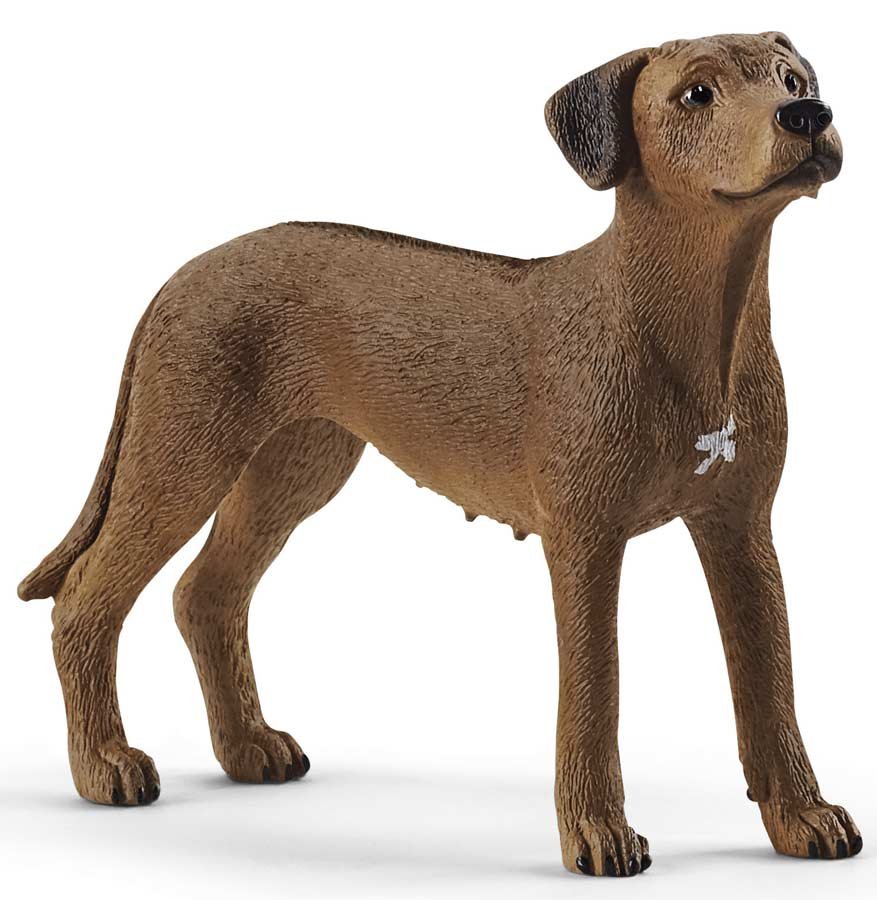 schleich rhodesian ridgeback - Flot schleich håndmalet dyr